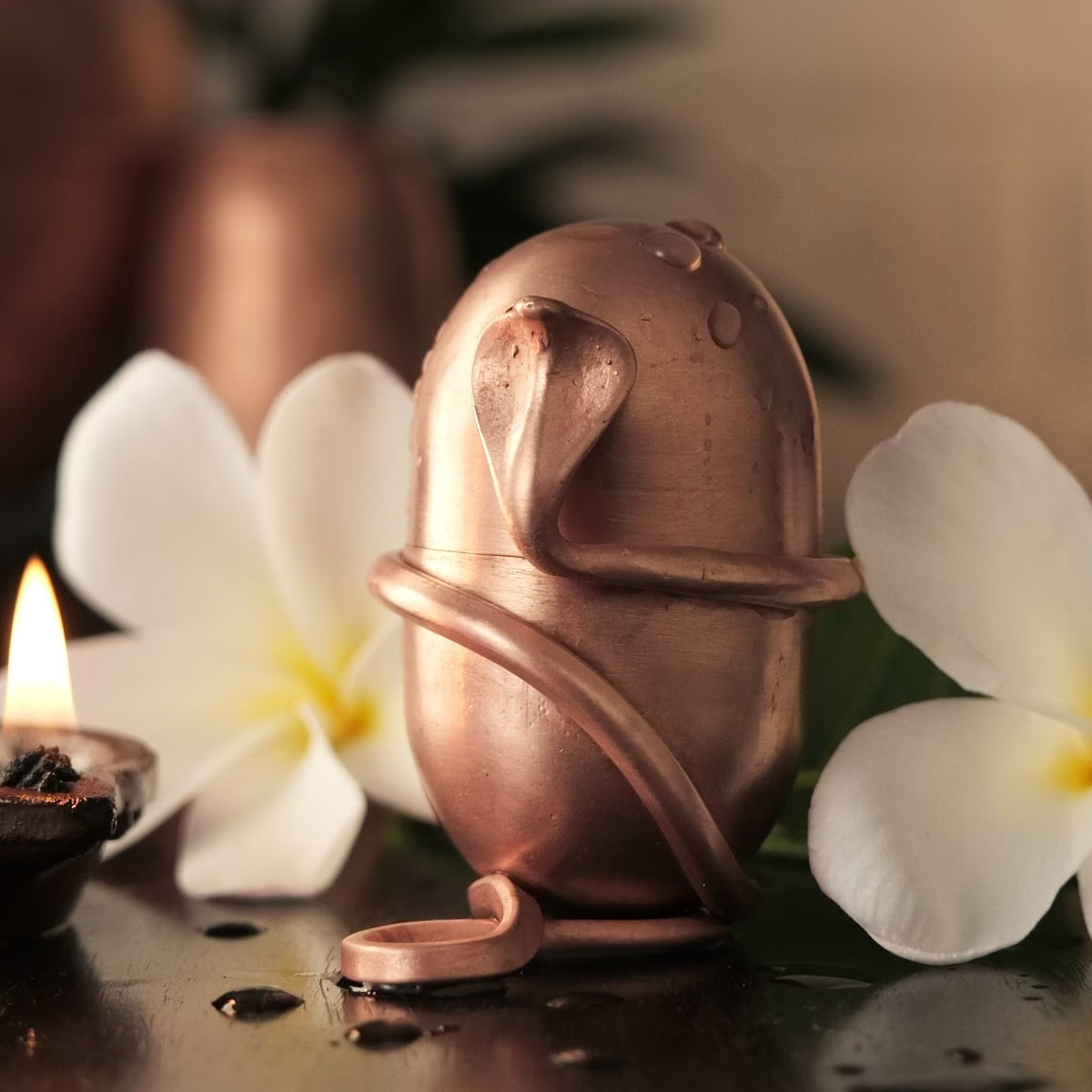 Jeevarasam – Isha Life Taiwan